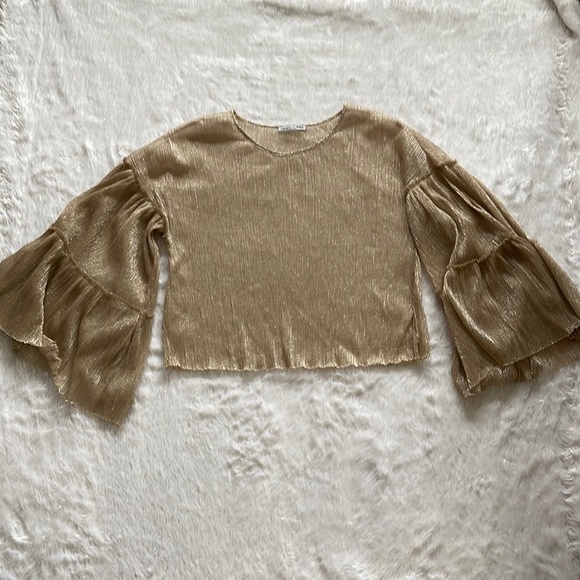Zara | Tops | Zara See Through Flowy Arm Shirt In Gold | Poshmark